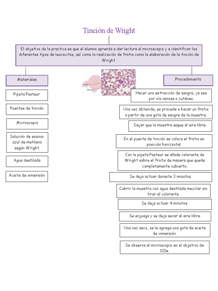 Diagrama de Wright | PDF | Tinción | Citopatología
