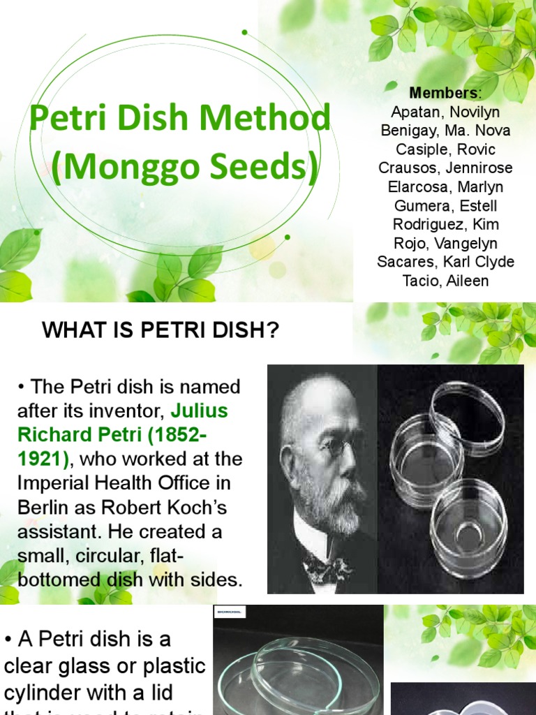 Petri Dish Group | PDF | Materials | Physical Sciences