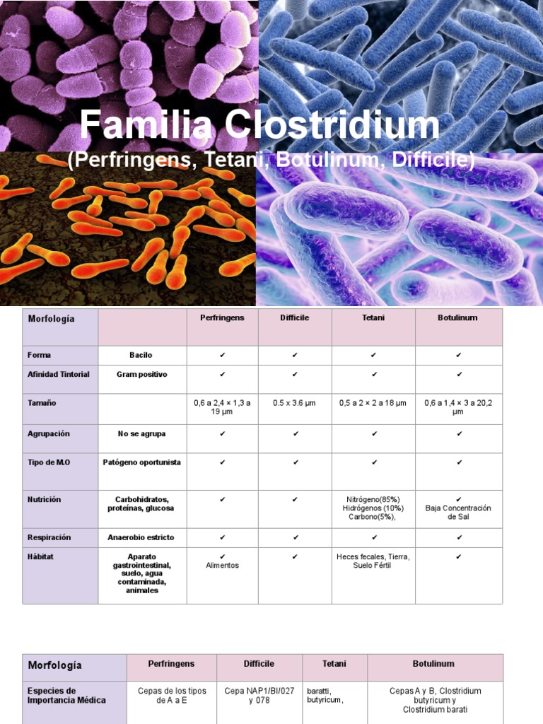 Características y Patologías de Clostridium | PDF | Diarrea ...
