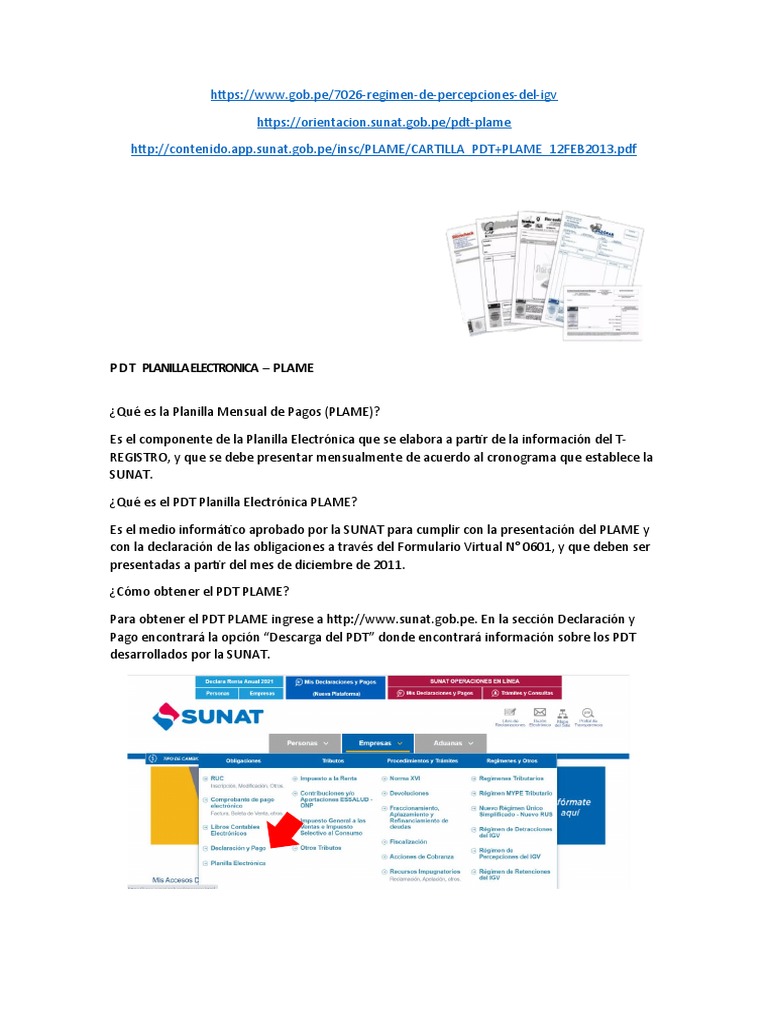 PDT Planilla Electronica - Plame | PDF