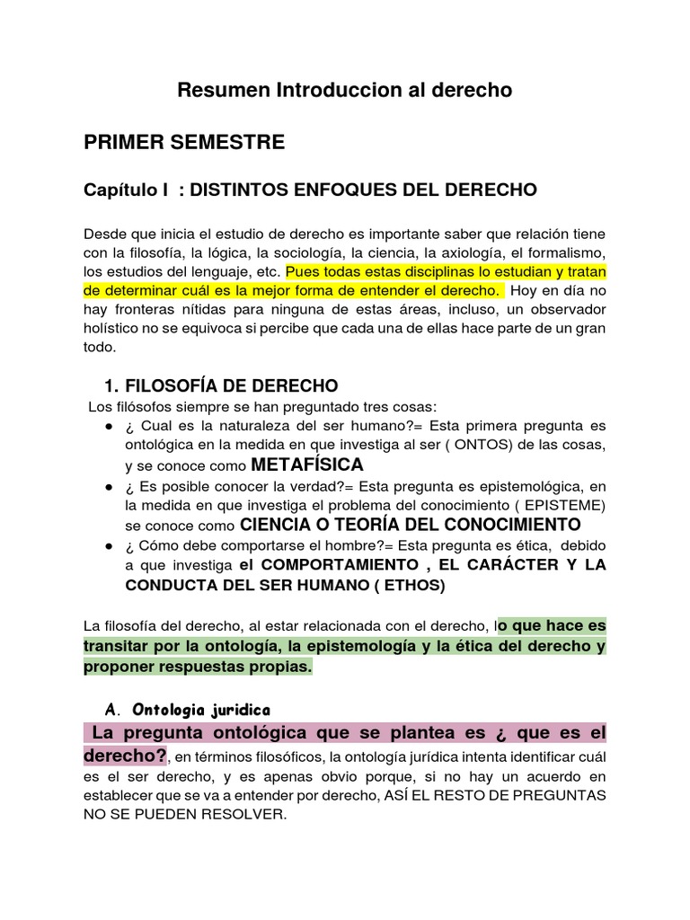 Resumen Introduccion Al Derecho | PDF | Crimen y violencia | Justicia