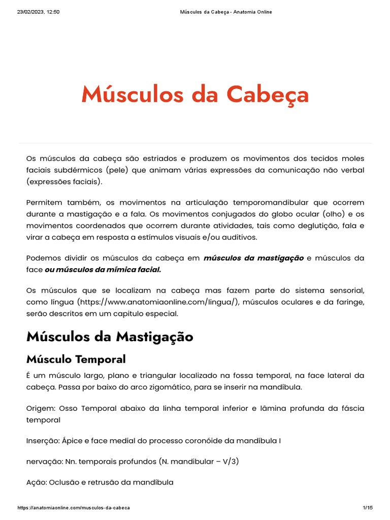 Músculos Da Cabeça - Anatomia Online | PDF | Rosto | Morfologia (Biologia)