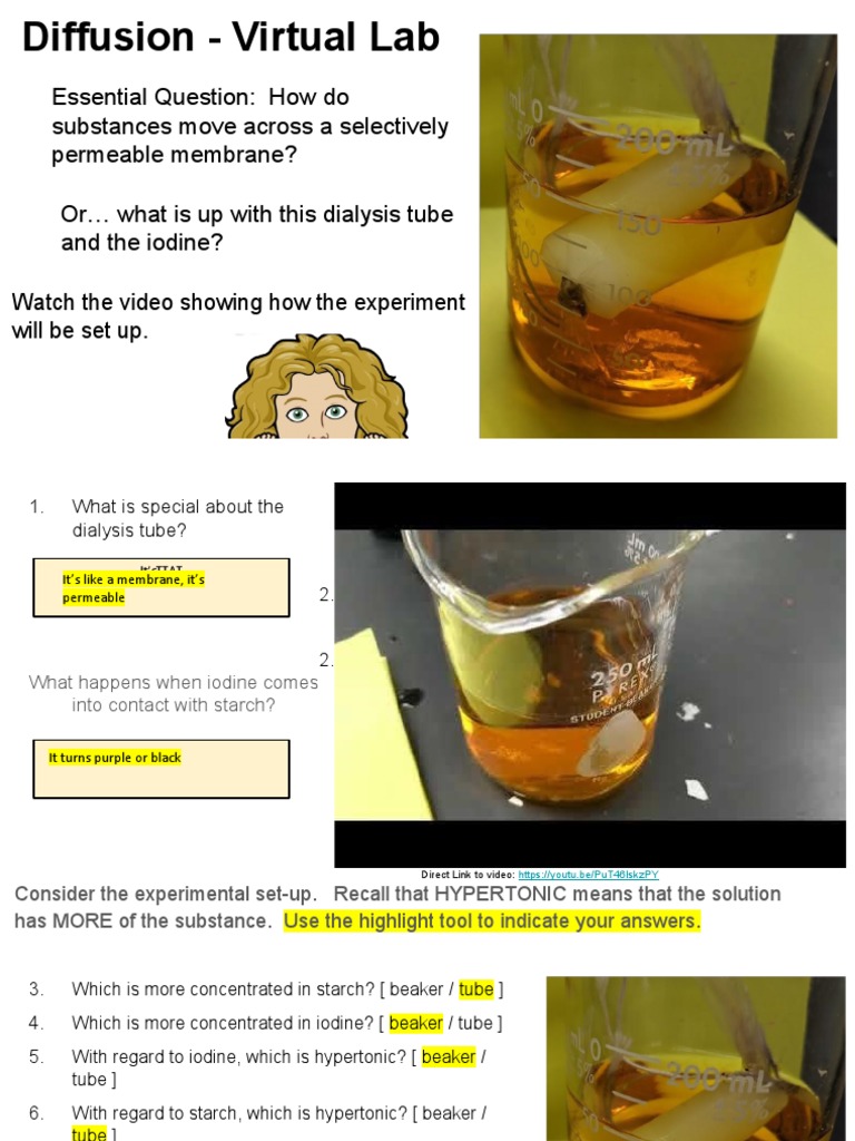 Diffusion - Virtual Lab | PDF | Biochemistry | Chemistry Diffusion - Virtual Lab | PDF | Biochemistry | Chemistry