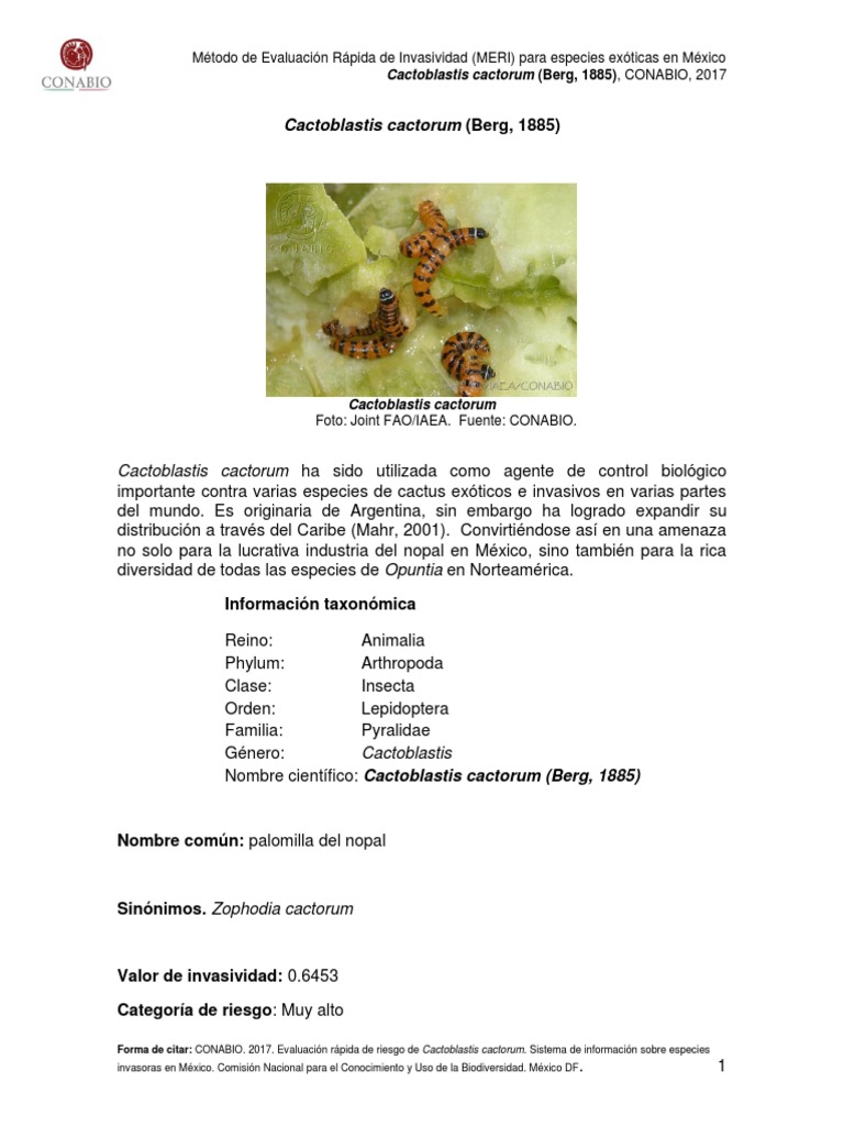 Cactoblastis Cactorum Palomilla de Nopal | PDF | Especies invasivas ...