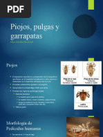 Termogenesis y Termolisis PDF | PDF | Agua | Termorregulación