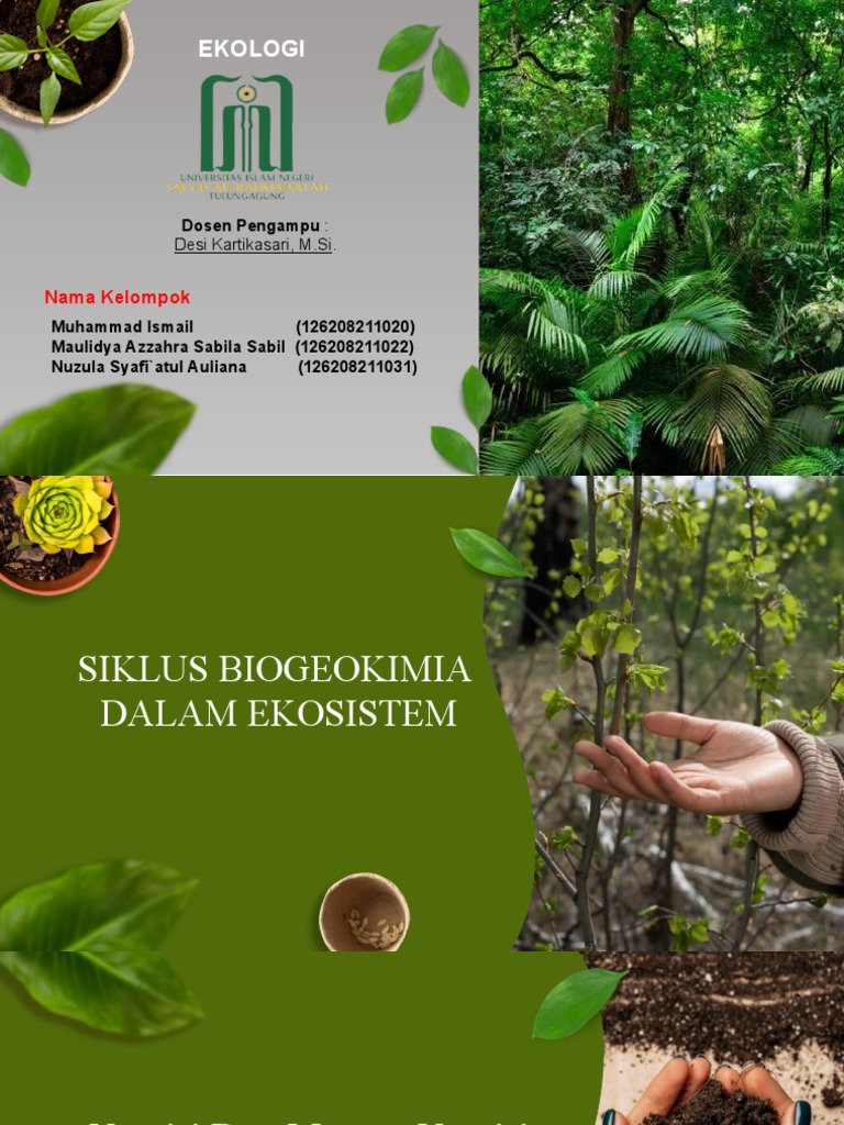 Kelompok 7 Siklus Biogeokimia Ekologi Pdf
