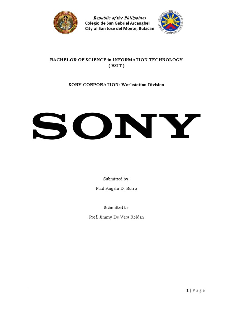 Case Study Sony | PDF | Office Equipment | Computer Science