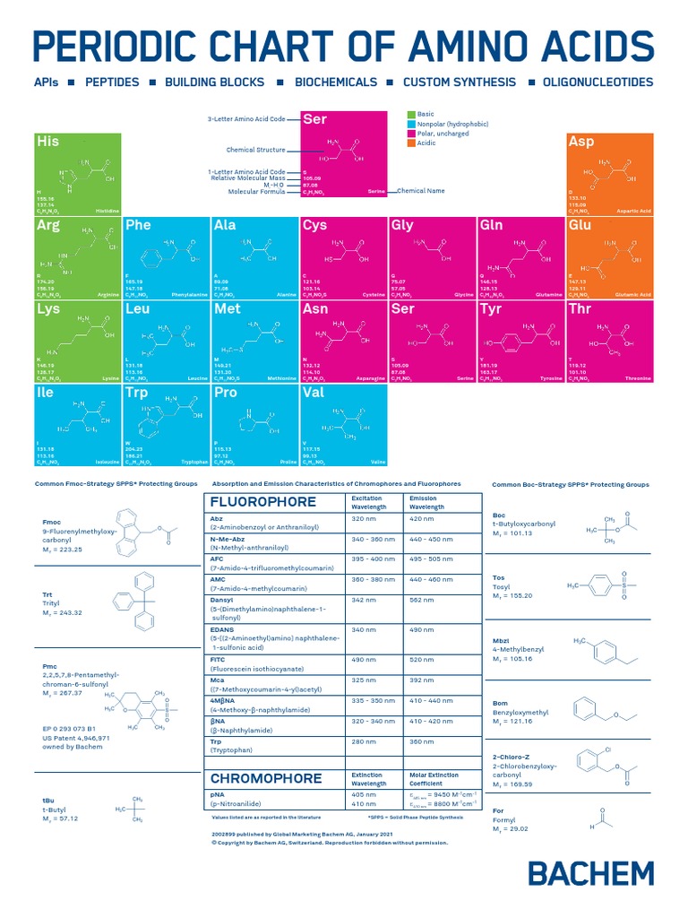 Periodic Amino Acids Chart | PDF | Amino Acid | Chemistry