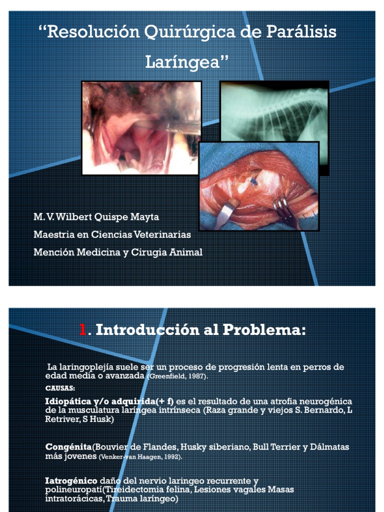 Resolución Quirurgica de Parálisis Laringea | Tos | Laringe