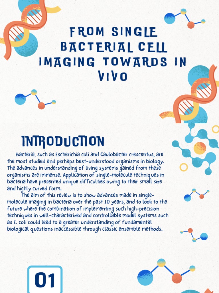 Orange and Blue Doodle Science Project Presentation | PDF | Fluorescence Microscope | Microbiology