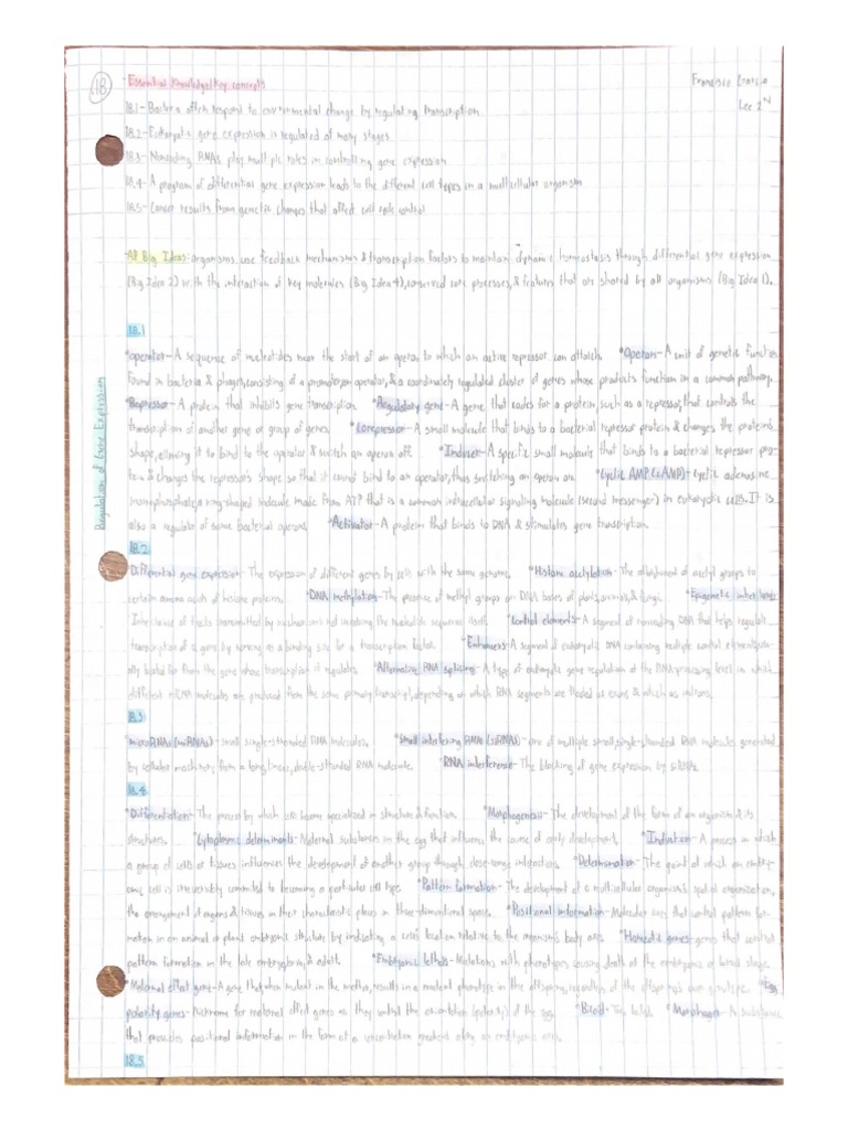 Unit 6 1 1 Pagers | PDF