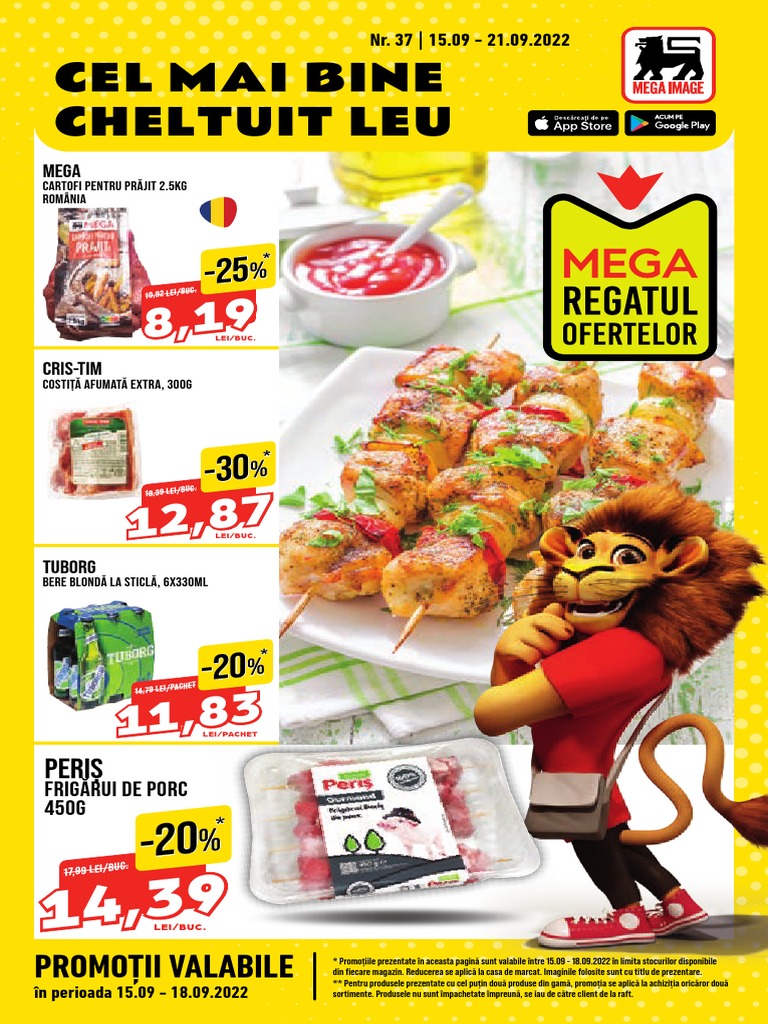 MEGA IMAGE - Revista NR 37 - 2022 | PDF