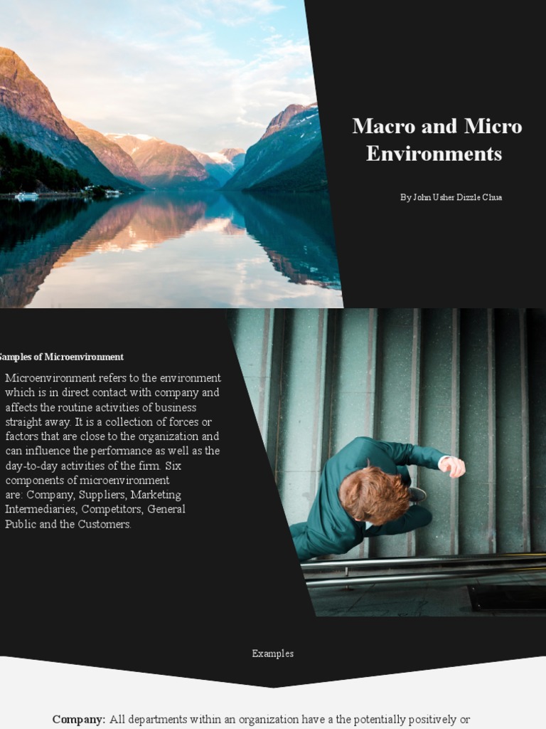 Understanding Micro and Macro Environmental Factors: A Comprehensive ...