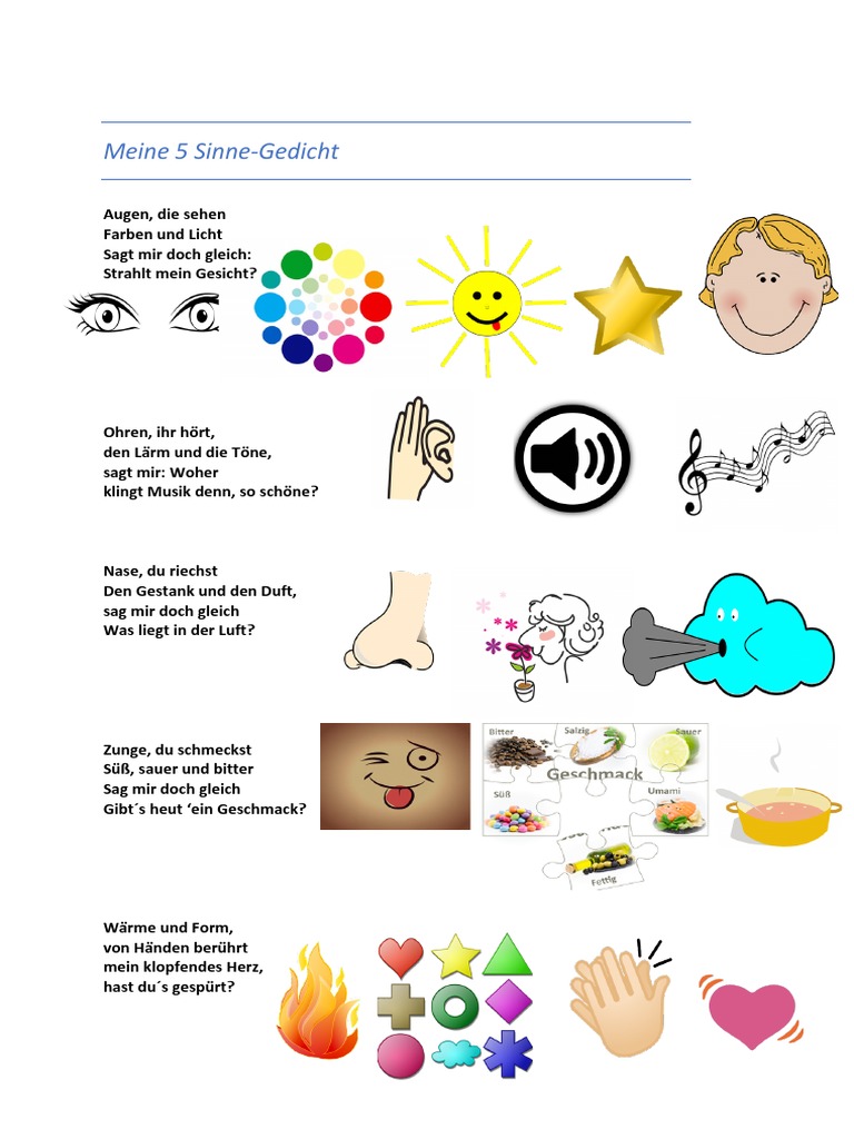 Meine 5 Sinne | PDF