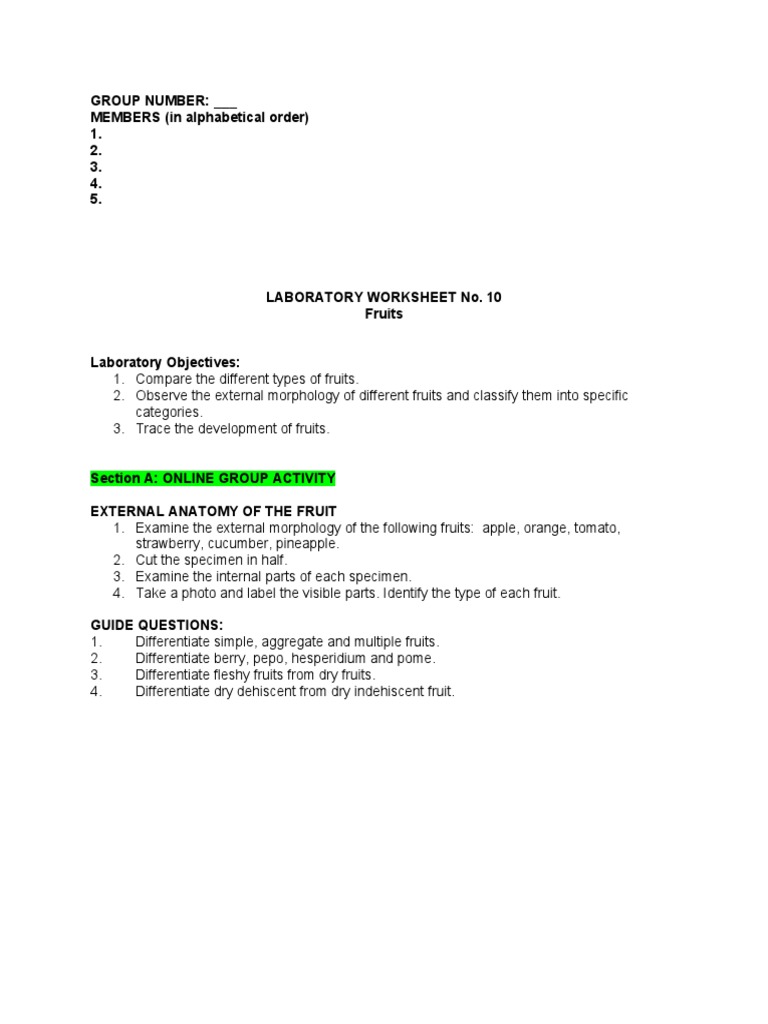 Lab Worksheet 10 Updated Fruits | PDF