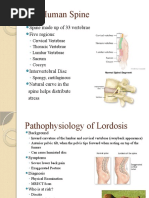 Torbay Cuff Protocol | PDF | Anatomical Terms Of Motion | Shoulder