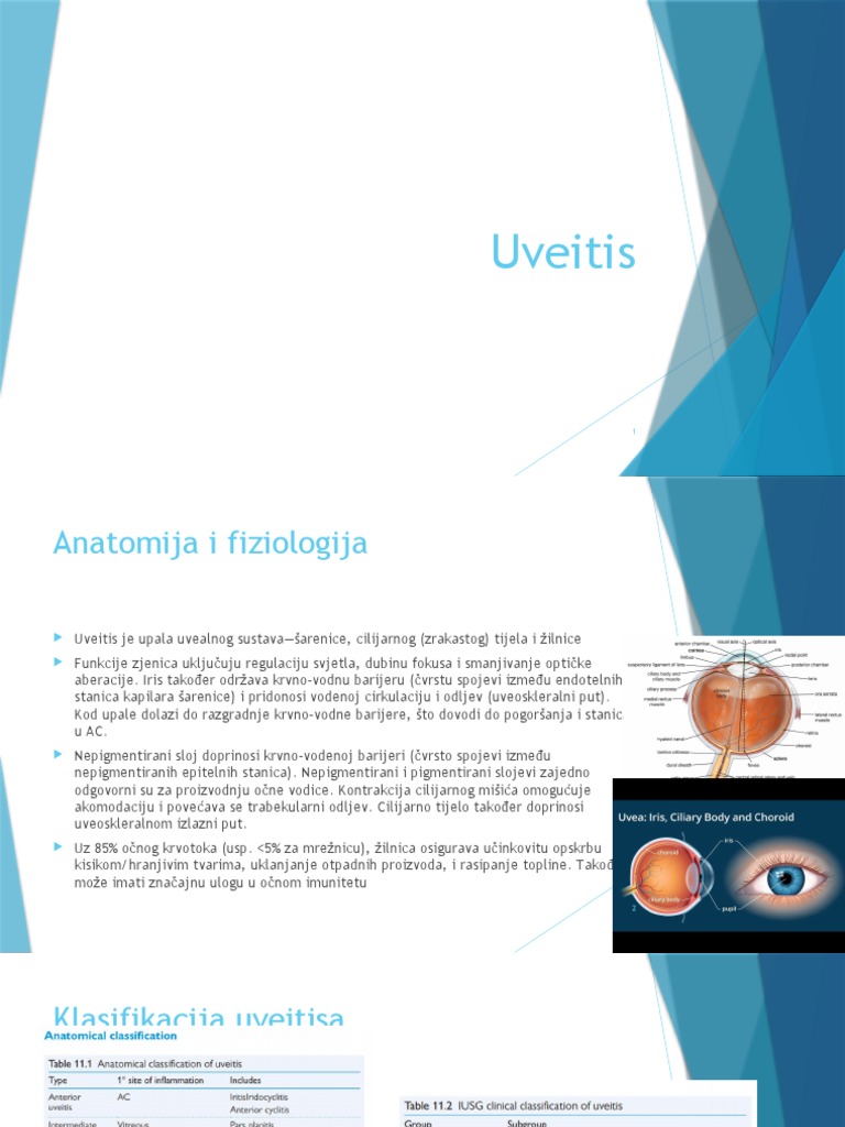 Uveitis | PDF