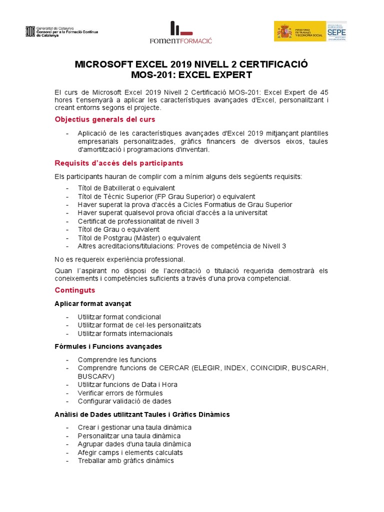 Microsoft Excel 2019 Nivell 2 Certificació MOS-201 - Excel Expert | PDF