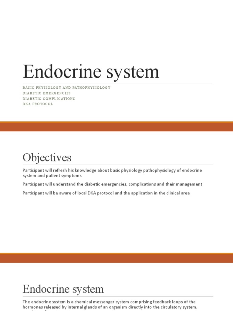 Endocrine System | Download Free PDF | Adrenal Gland | Endocrine System