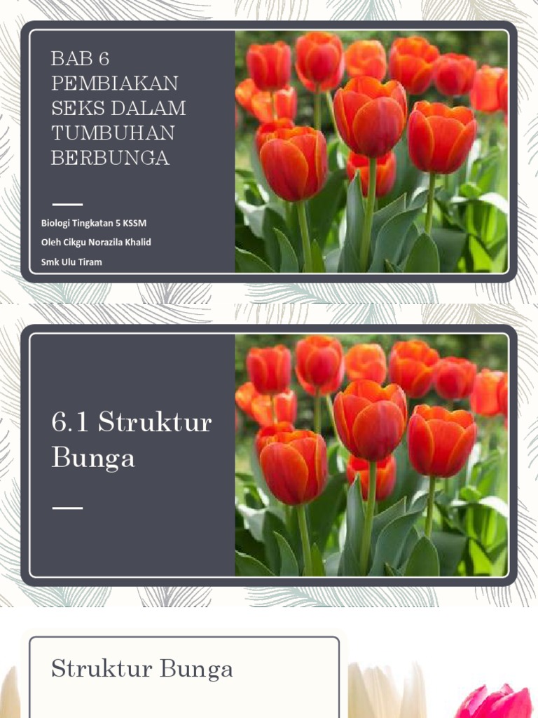 BIO T5 KSSM BAB 6 Pembiakan Seks Dalam Tumbuhan Berbunga Zila Khalid | PDF