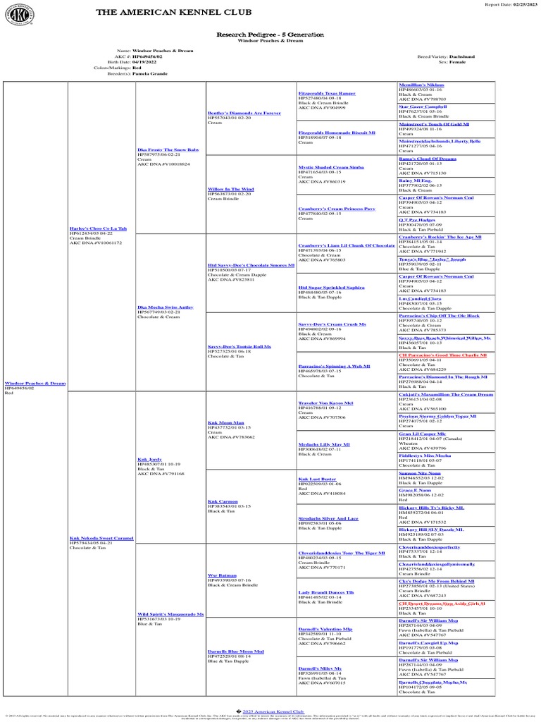 Akc Research Pedigree - 5 Generation | PDF | American Kennel Club ...
