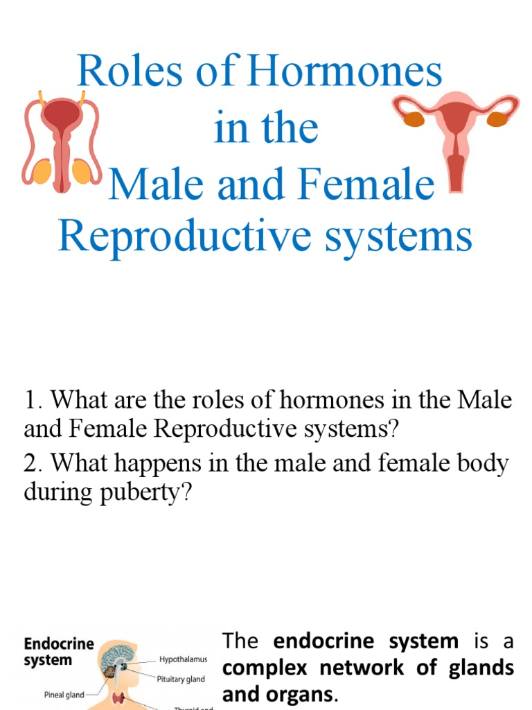 Hormonal Roles in Reproductive Systems | PDF | Luteinizing Hormone ...