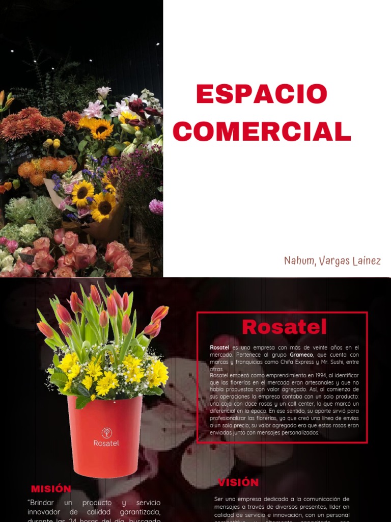 ROSATEL | PDF | Mercado (economía) | Producto (Negocio)