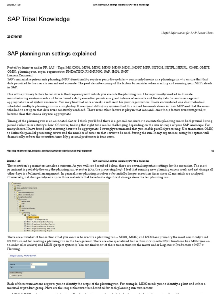 SAP Planning Run Settings Explained | PDF | Computing | Information Technology Management