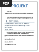 SHEMBULL PROJEKT (Propozimi) | PDF