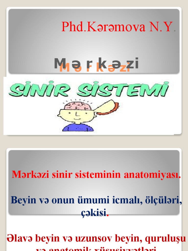 Mss (Fayl - 2 Beyin) | PDF