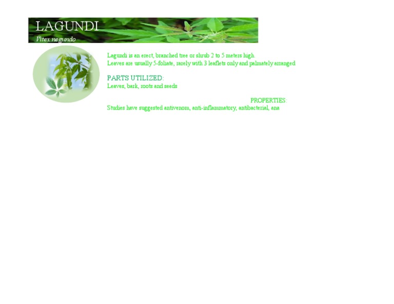 Lagundi - Infographics | PDF