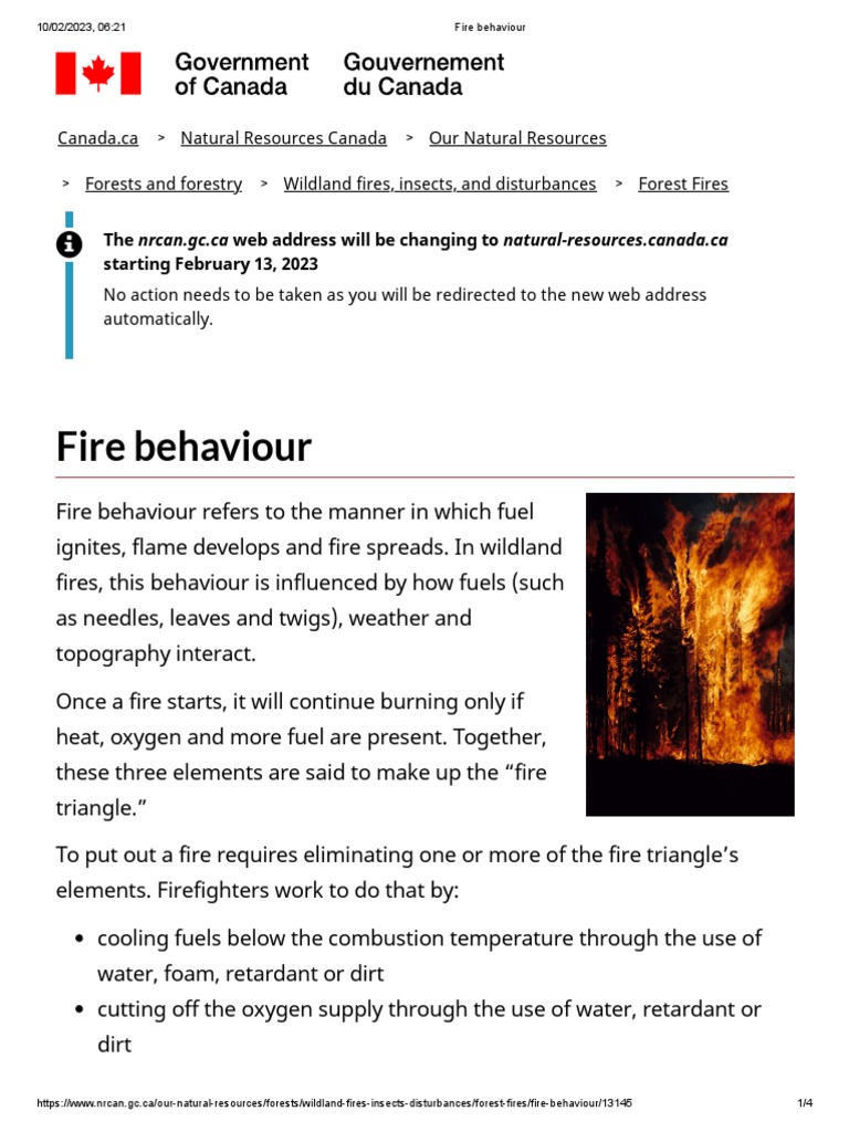 Fire Behaviour | PDF | Fires | Wildfire