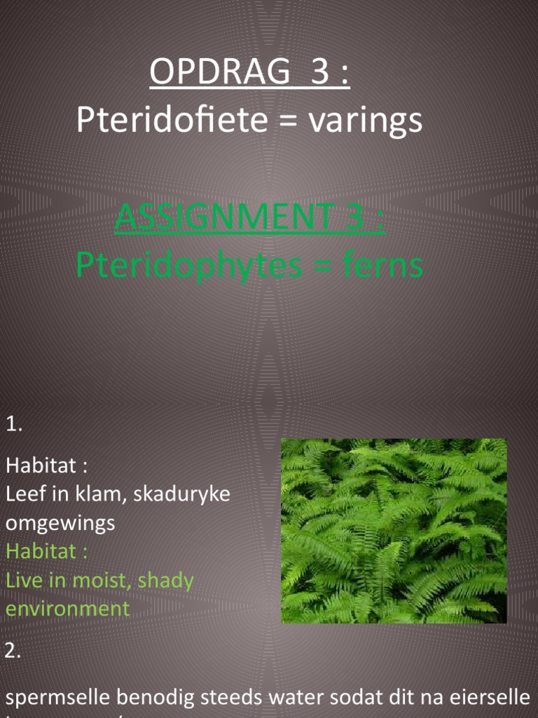 Opdrag 3 Varings | PDF