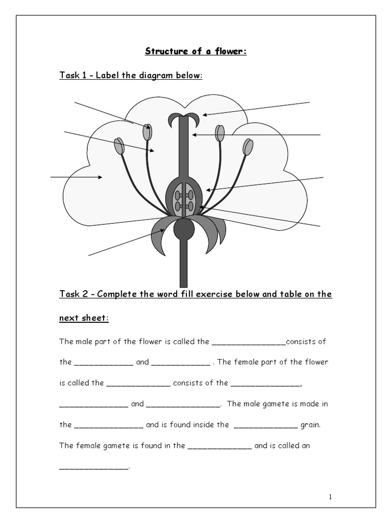 Flower Structure and Reproduction Guide | PDF | Flowers | Seed