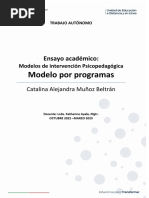 Bisquera Modelo de Programas | PDF