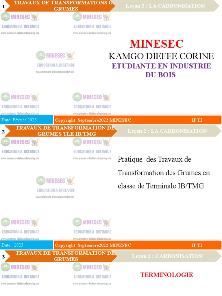 Carbonisation Pratique | PDF