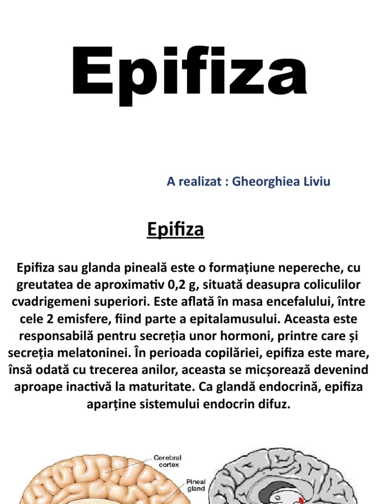 Epifiza | PDF