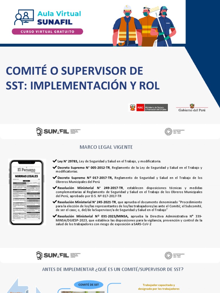 Comité o Supervisor de SST - Implementación y Rol - RV | PDF ...