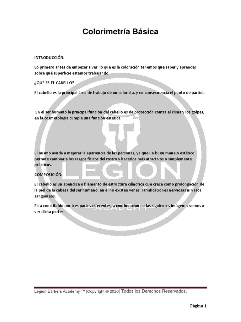 Curso Colorimetria Basica | PDF | Color | Pelo