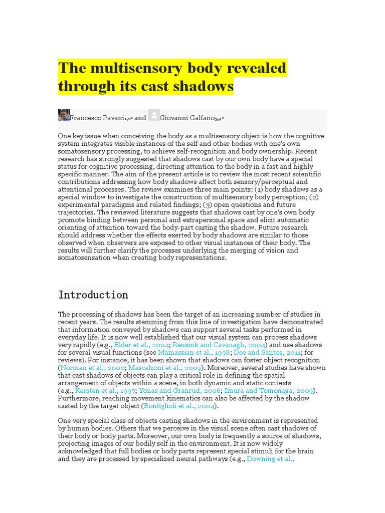 The Multisensory Body Pdf Perception Attention