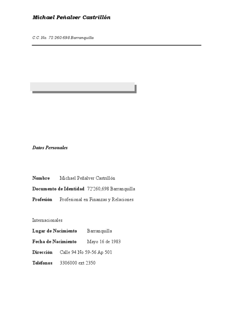 CV - Michael - Penalver en ESPANOL | PDF | Presupuesto