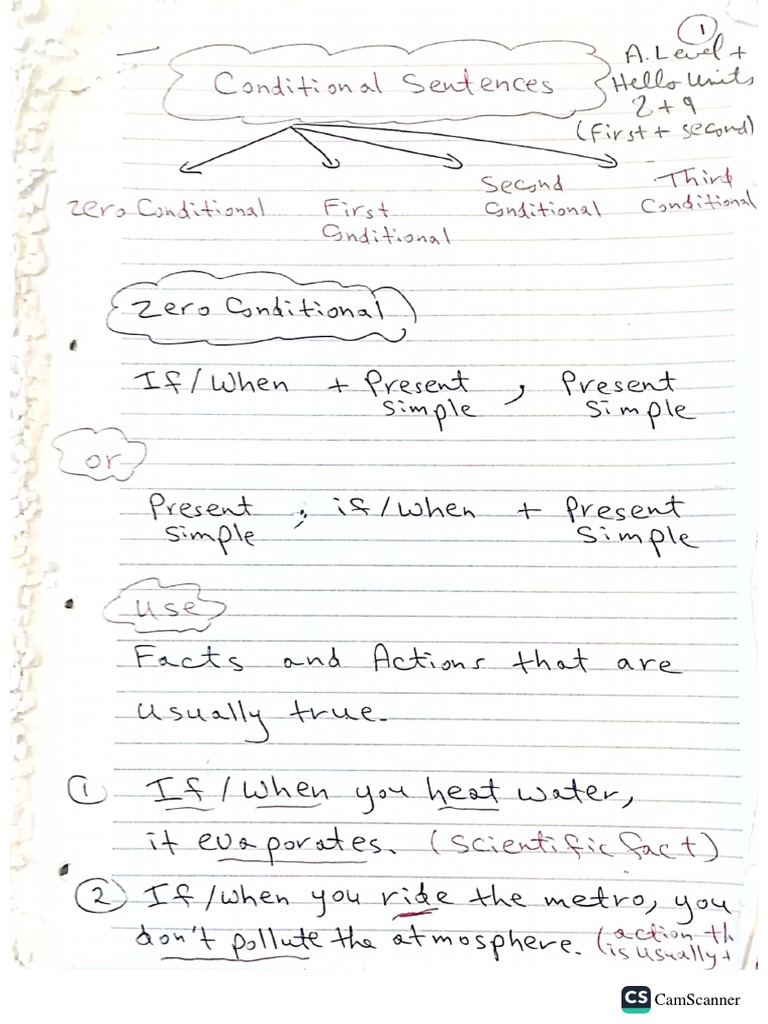 Conditional Sentences (If) | PDF