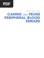 Peer Influence Scale | PDF | Adolescence | Likert Scale