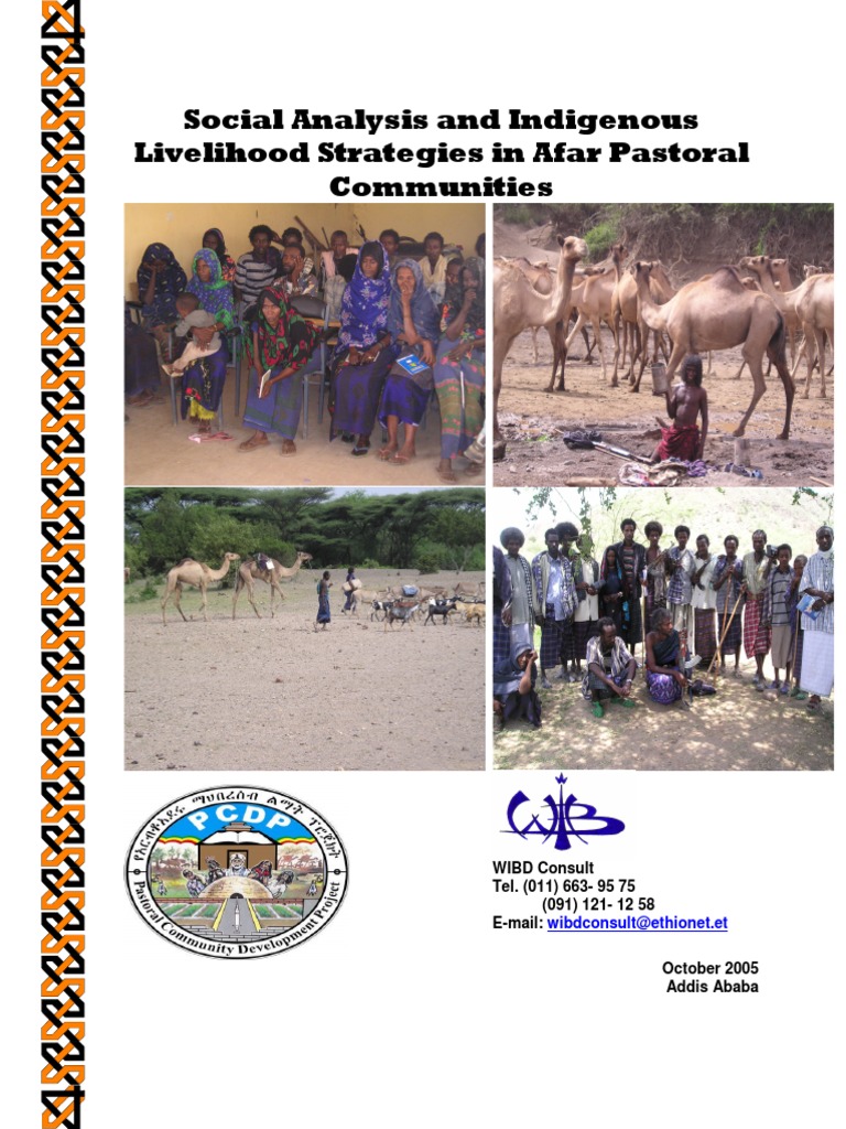 Afar | PDF | Pastoralism | Sampling (Statistics)
