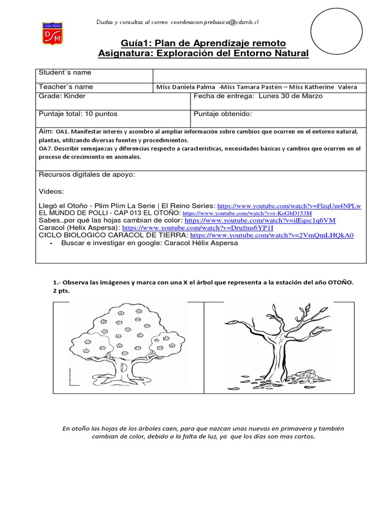 3.3 Kínder Exploración Del Entorno Natural N°1 | PDF