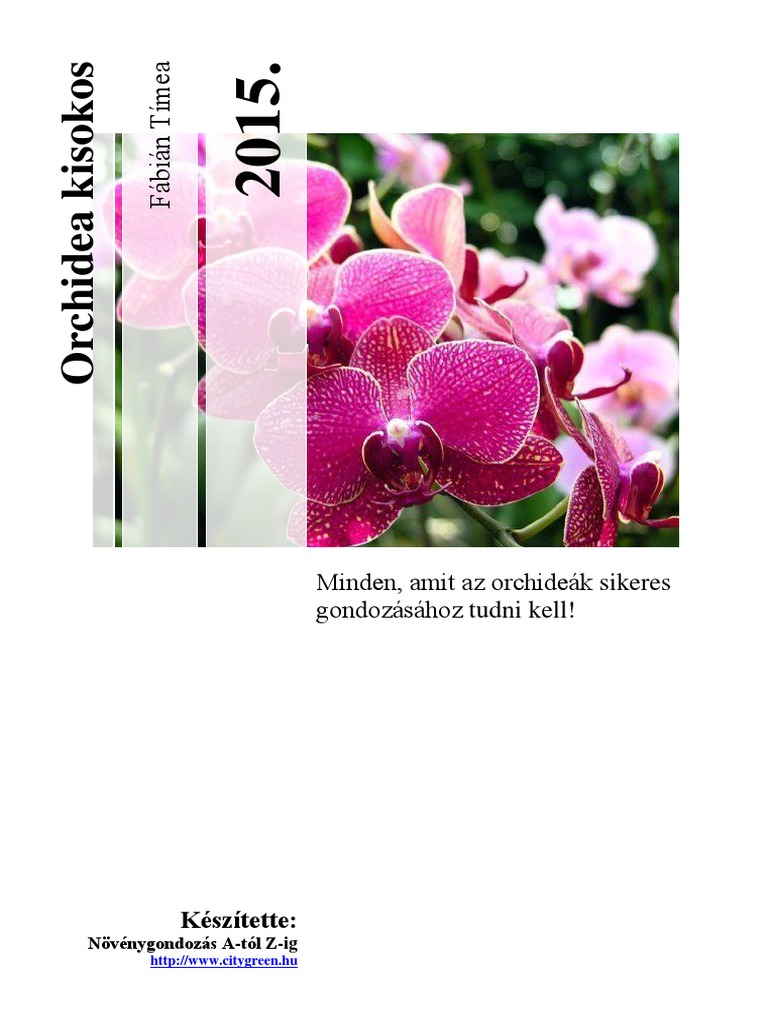 Letoltes - Orchidea Kisokos - Minden, Amit Az Orchideák Sikeres ...