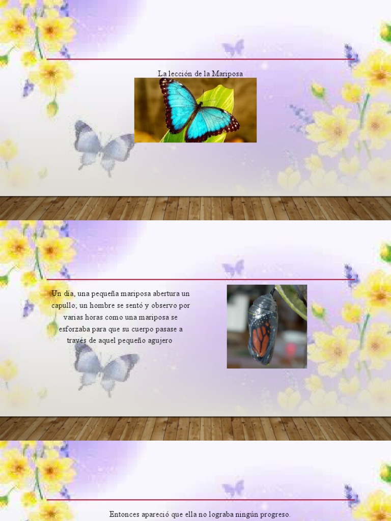 La Lección de La Mariposa - J | PDF