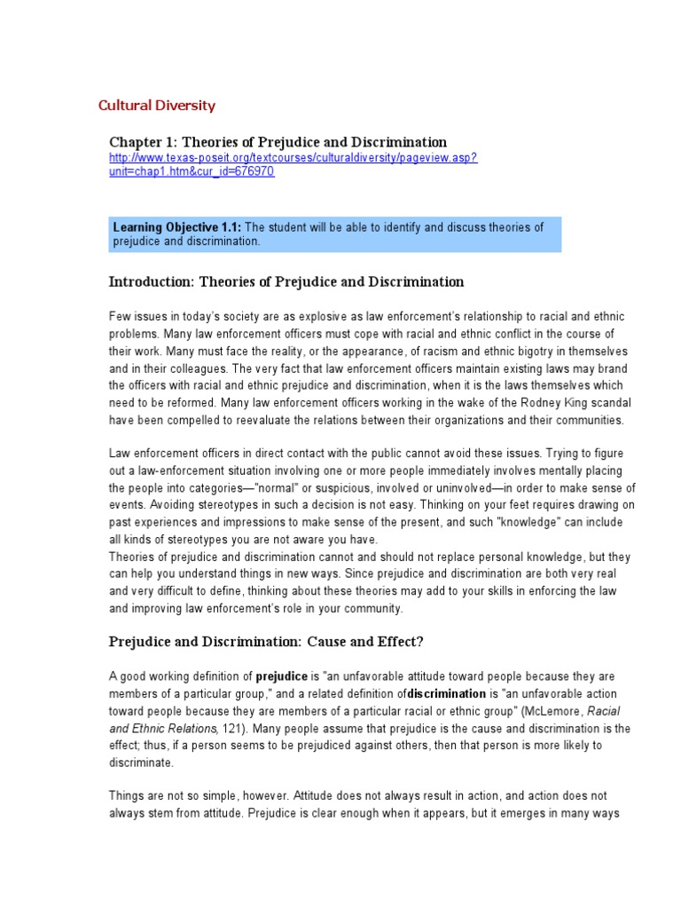 2 Theory of Prejudice and Discrimination | PDF | Prejudices | Stereotypes