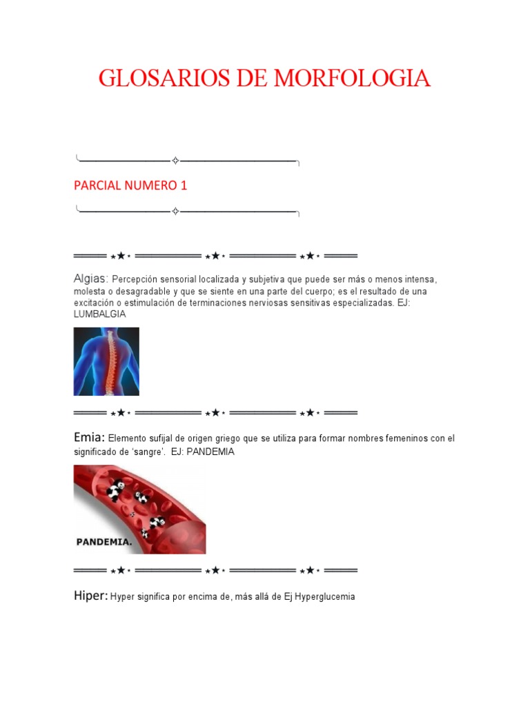 Glosarios de Morfologia | PDF