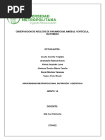 Preformismo y Epigénesis en Embriología | PDF | Anatomía | Science